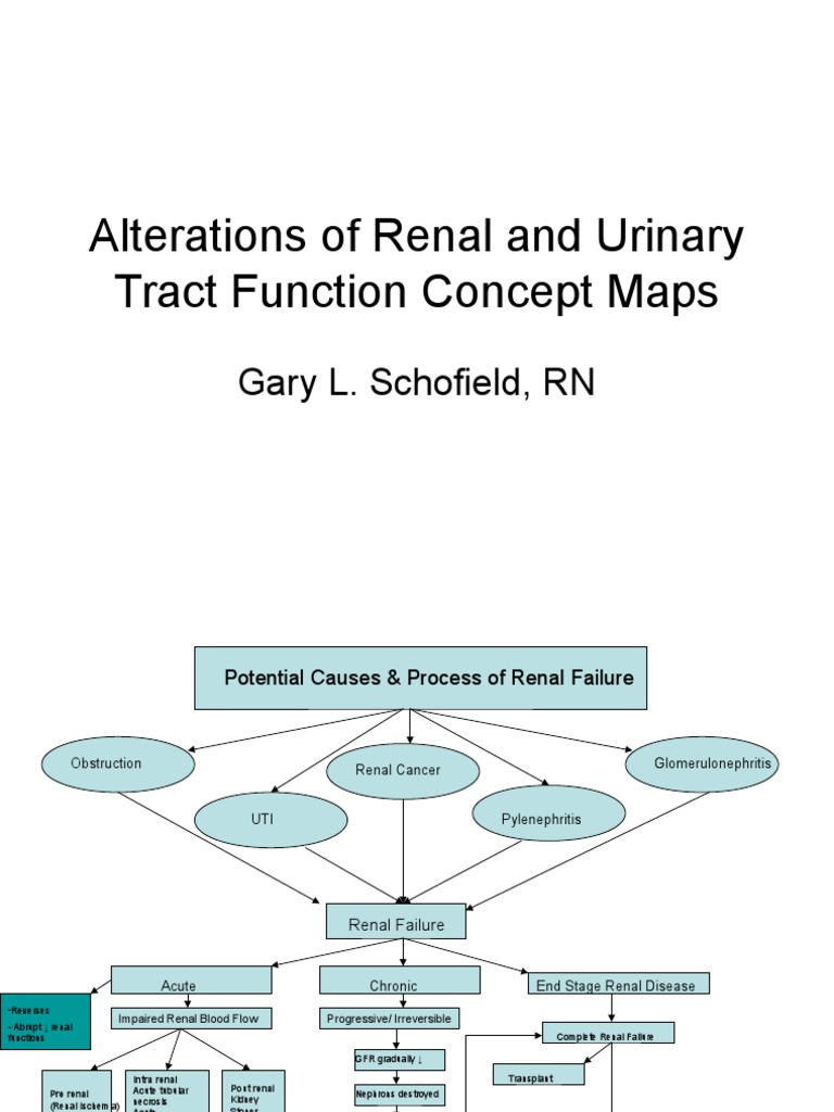Renal and Urinary Concept Maps | PDF | Kidney | Urinary Tract Infection
