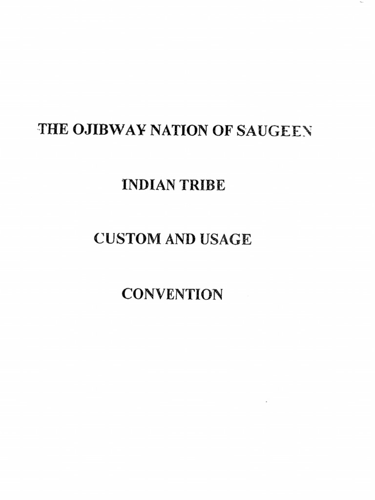 Ojibway Saugeen Nation Custom and Usage Convention | PDF