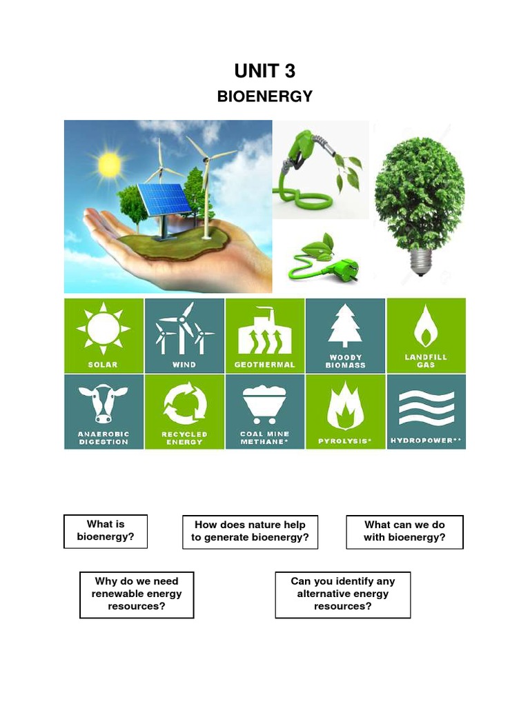 Understanding Bioenergy Basics | PDF | Biomass | Reading Comprehension