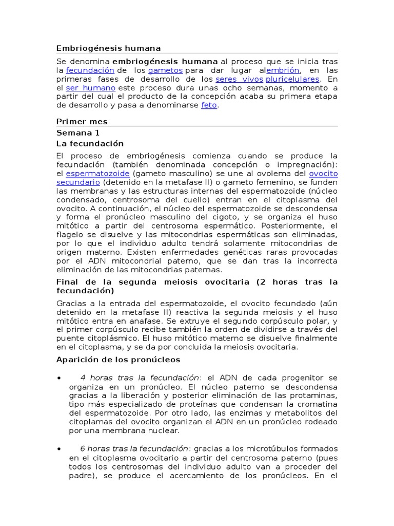 Embriogénesis Humana | PDF | Mitosis | Ciencias de la vida