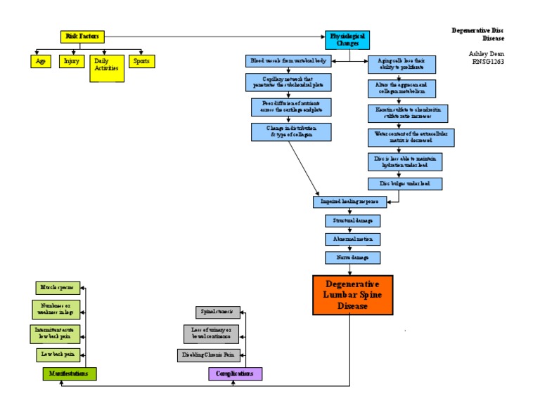 Degenerative Disc Disease Concept Map | PDF | Back Pain | Low Back Pain