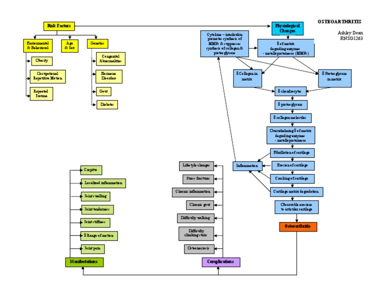 Osteoarthritis Concept Map | PDF | Osteoarthritis | Joint