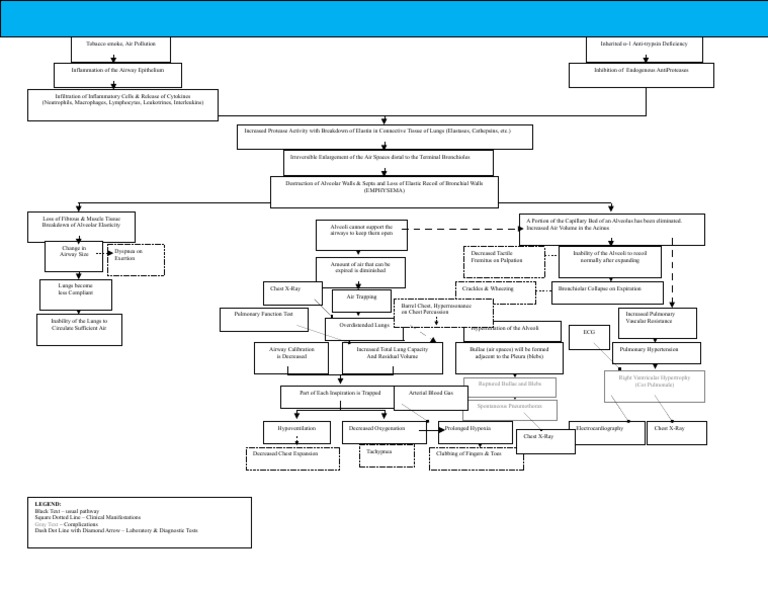 136220598 Pathophysiology Emphysema