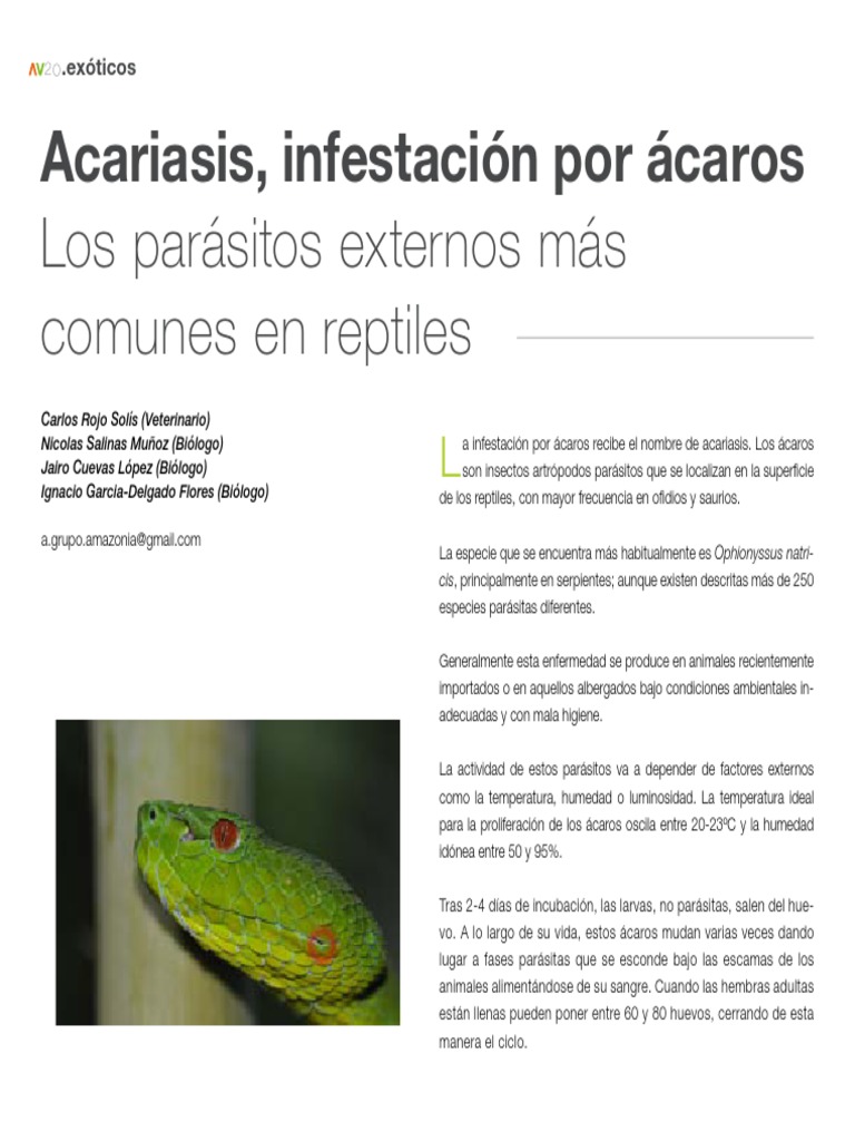 Acariasis, Infestacion Por Acaros - Los Parasitos Externos Mas Comunes ...