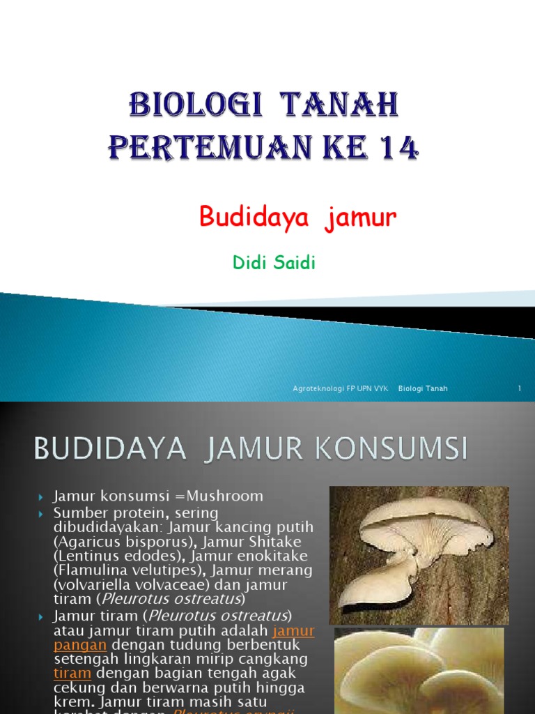 Budidaya Jamur | PDF