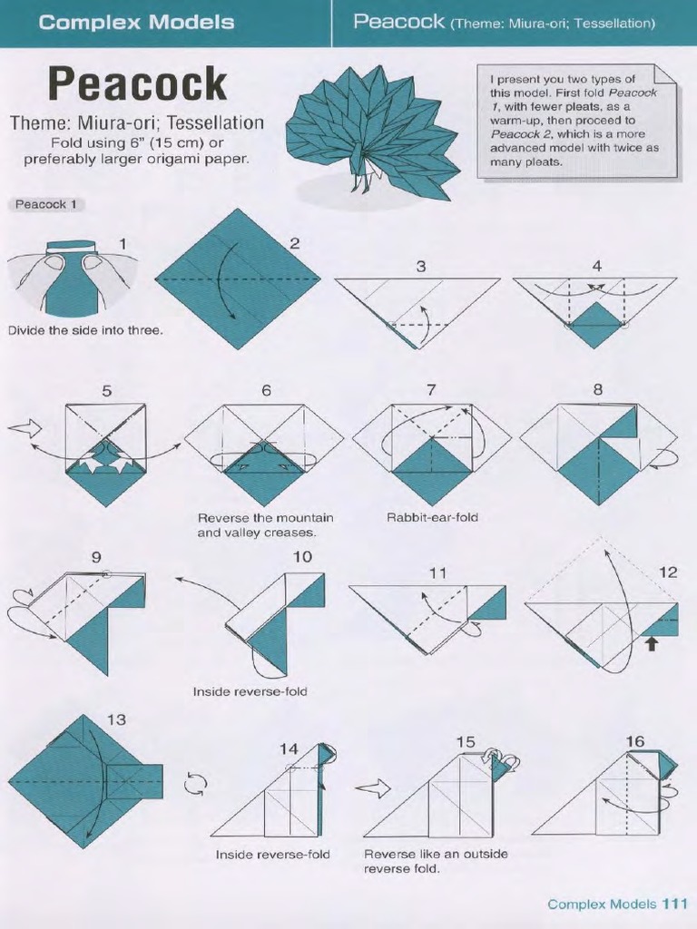 Jun Maekawa - Peacock | PDF