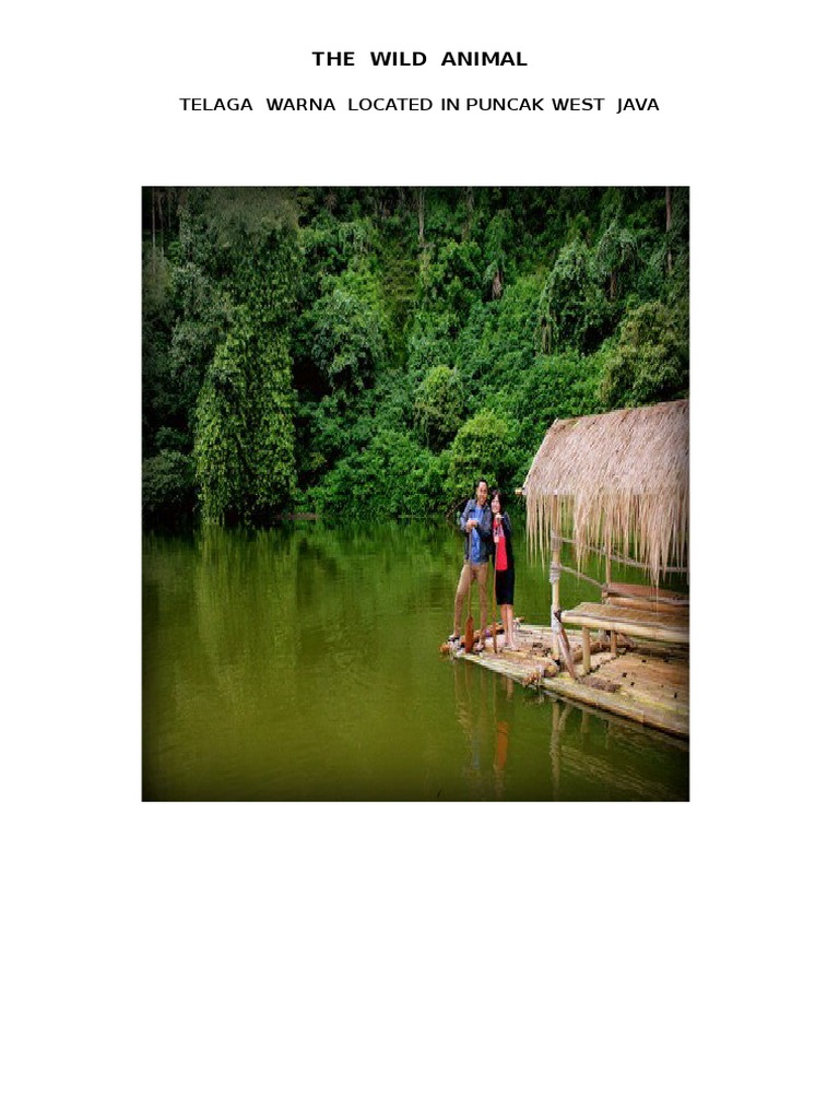 Gambar Peraga Telaga Warna | PDF