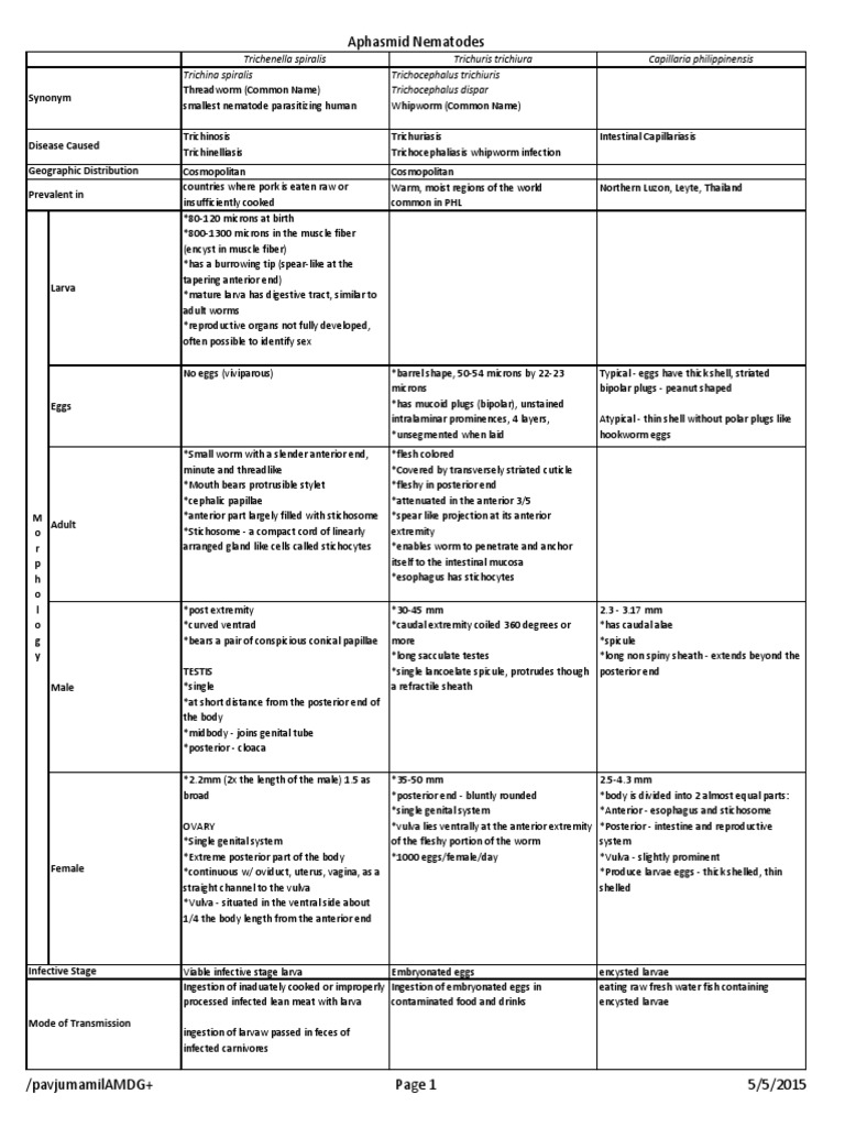 Para Lec Aphasmid Nematodes | PDF | Nematode | Reproductive System