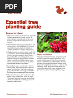 Tree Plantation Project | PDF