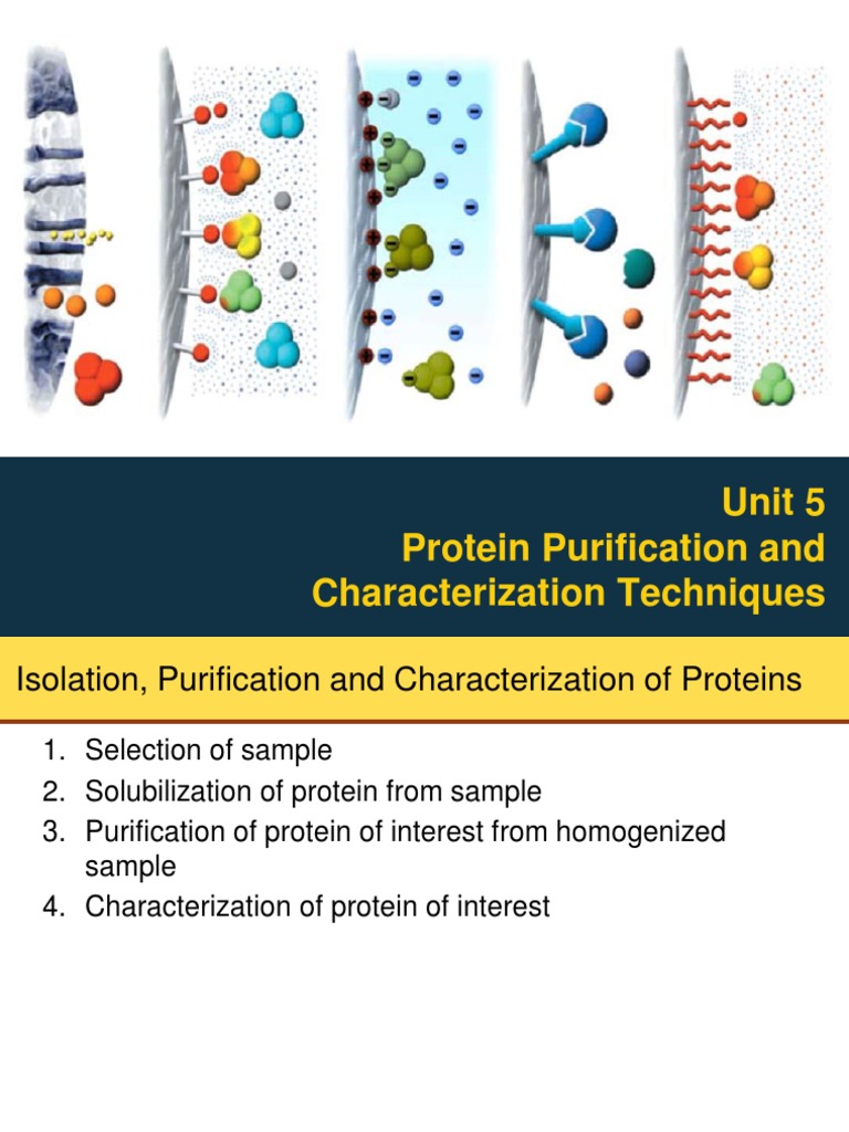 Unit 5 Protein Purification and Characterization Techniques | PDF