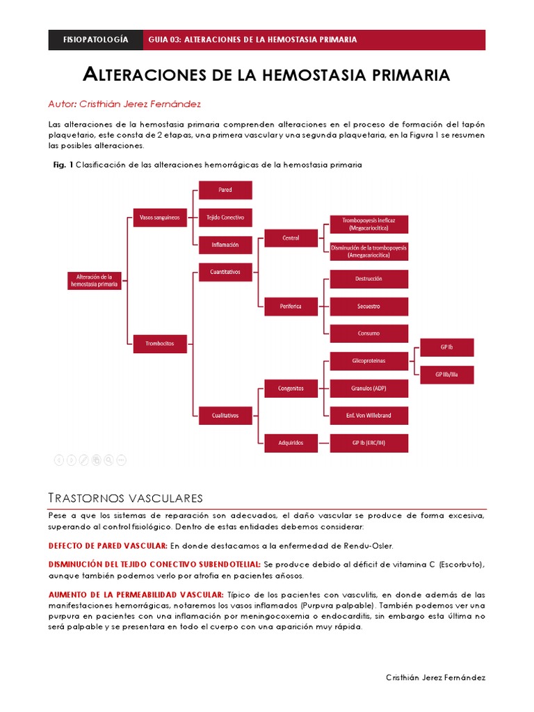 Understanding Primary Hemostasis Disorders: An Overview of Vascular and Platelet Abnormalities ...
