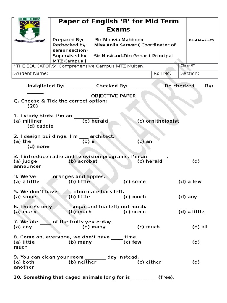 6th Class Paper | PDF | Grammatical Gender | Linguistics