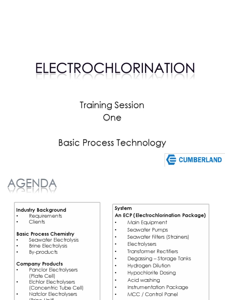 Electrochlorination Systems Overview | PDF | Sodium Chloride | Electrolyte