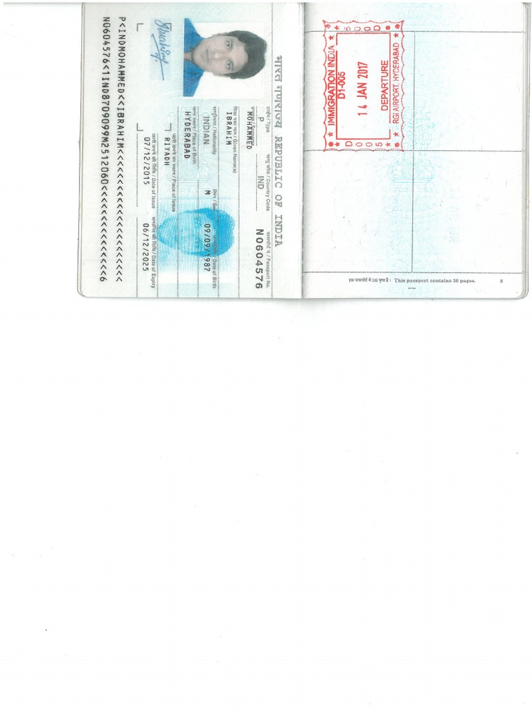 Passport Ibrahim | PDF