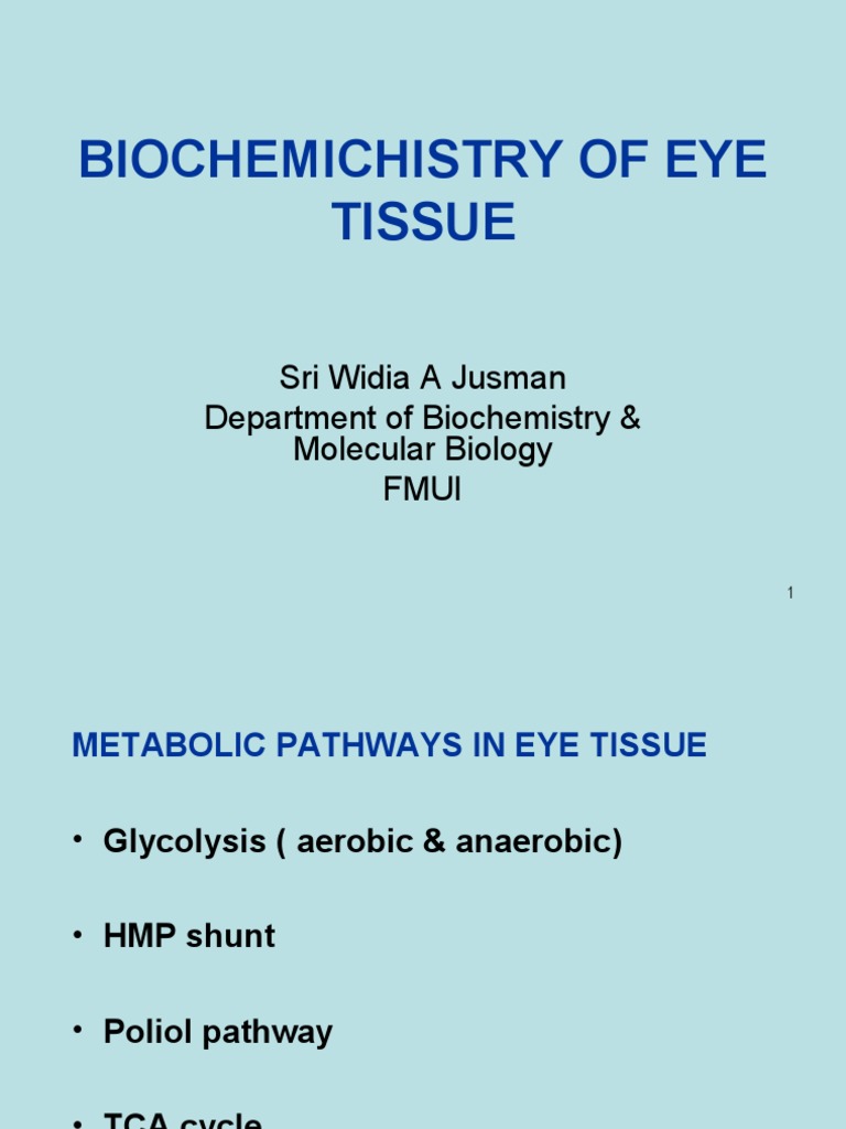 Biochemistry of The Eye | PDF | Glycolysis | Cellular Respiration