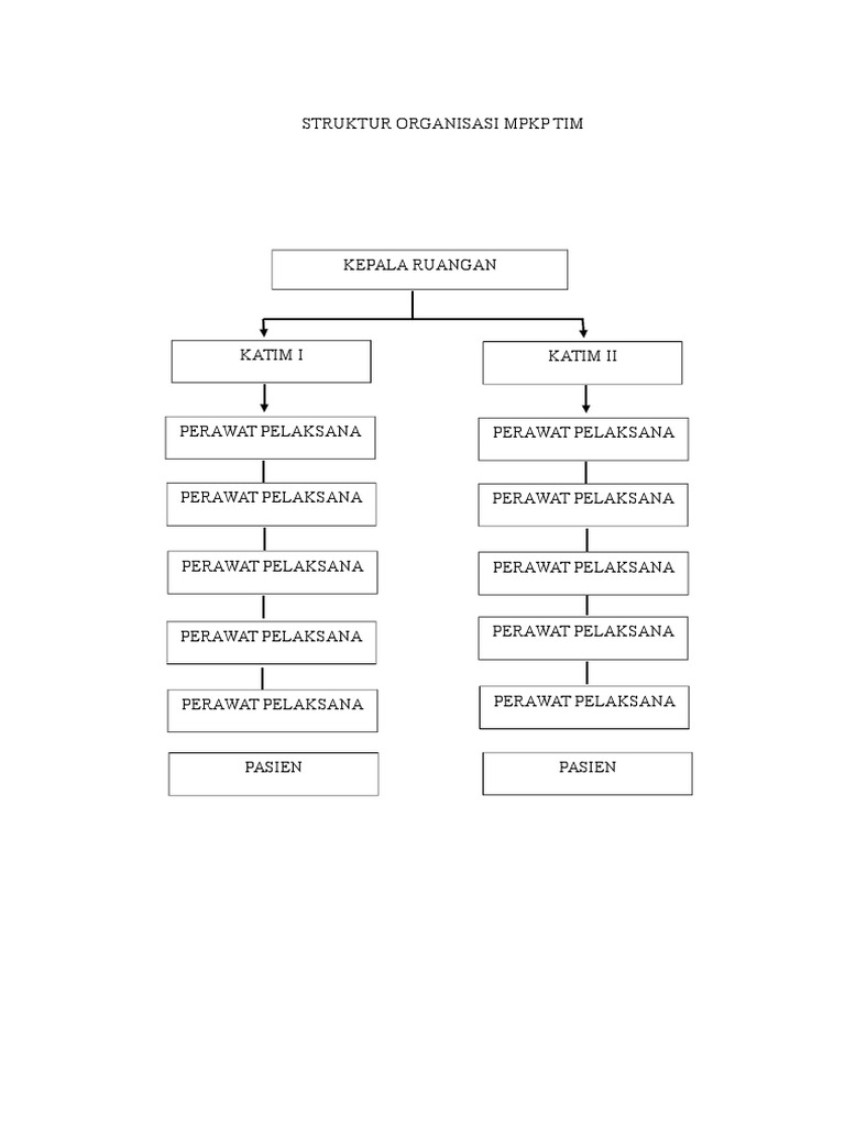 Struktur Organisasi MPKP Tim | PDF