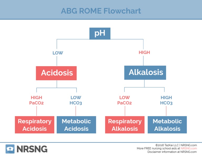 ABG ROME Flowchart