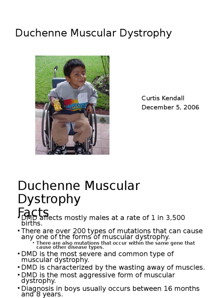 Duchenne Muscular Dystrophy - ppt-2010213558 | PDF | Muscular Dystrophy ...