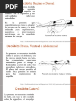 Posicion Flower Semiflower | PDF