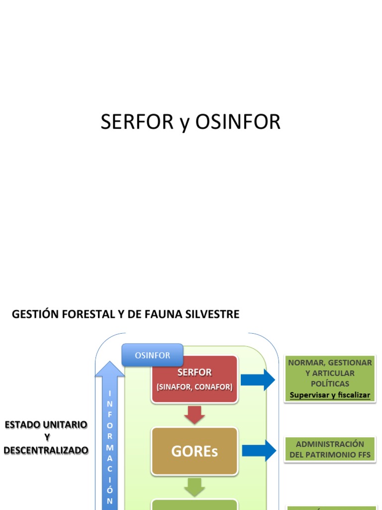 Roles y competencias de SERFOR y OSINFOR en la gestión forestal y de ...