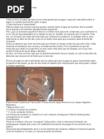 05.experimento ¿Flota o Se Hunde? | PDF | Peso | Masa