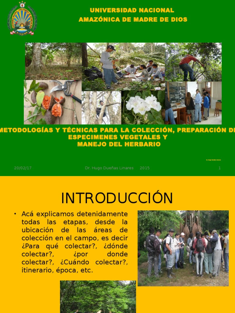 Metodos y Tecnicas para Colectar Especimenes Vegetales 2016 | PDF ...