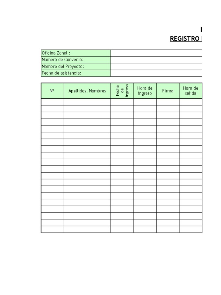 Formatos OE (Excel) | PDF
