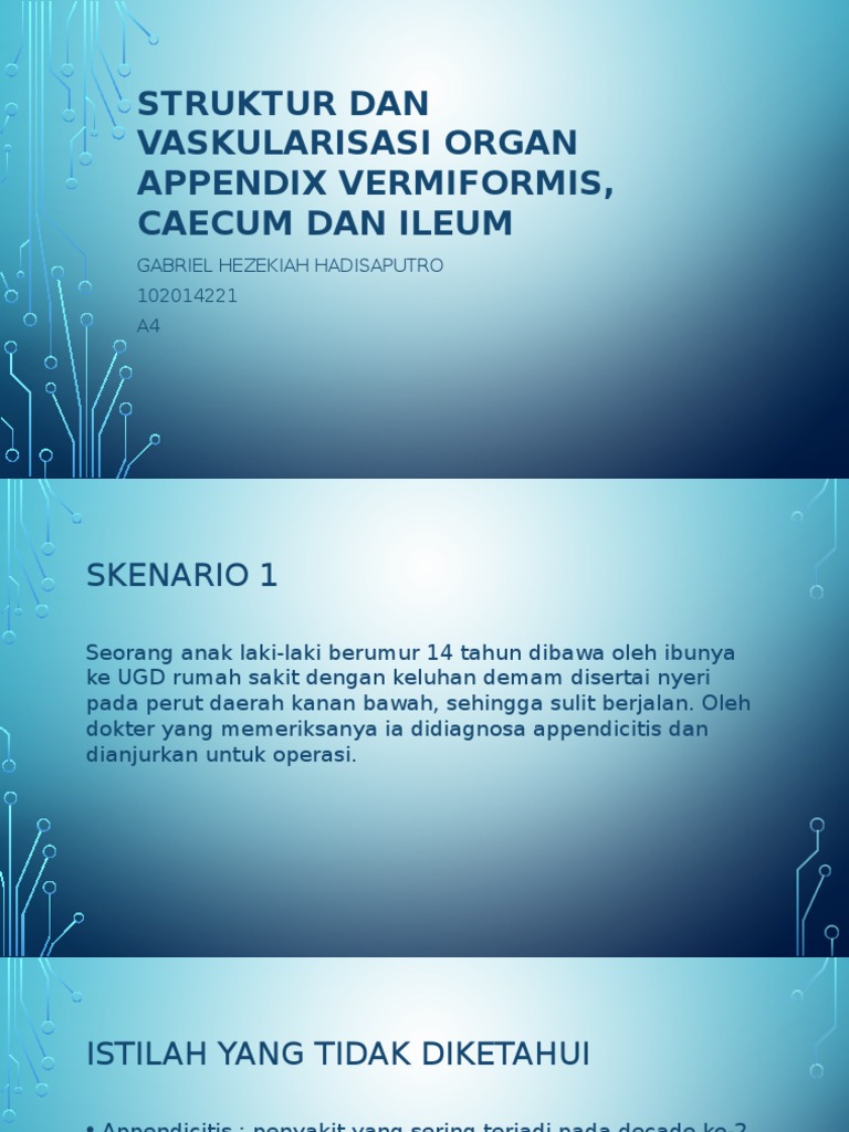 Struktur Dan Vaskularisasi Organ Appendix Vermiformis, Caecum | PDF