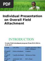 Quail Bronchitis in Gamebird Breeding | PDF | Home & Garden