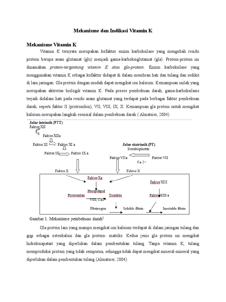 Mekanisme Dan Indikasi Vitamin K | PDF