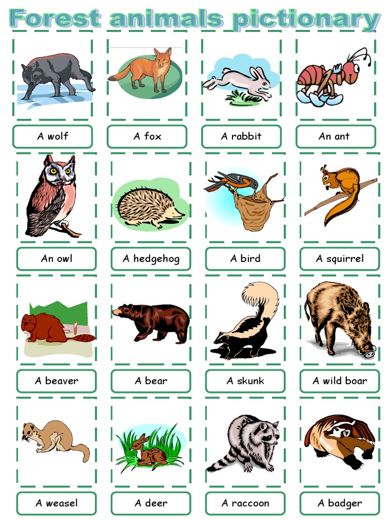 Forest Animals Pictionary | PDF