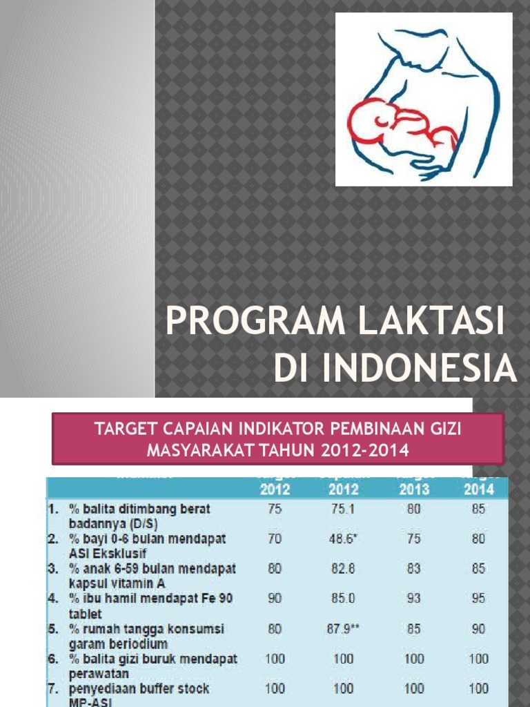 Program Laktasi Di Indonesia | PDF | Pengembangan Diri
