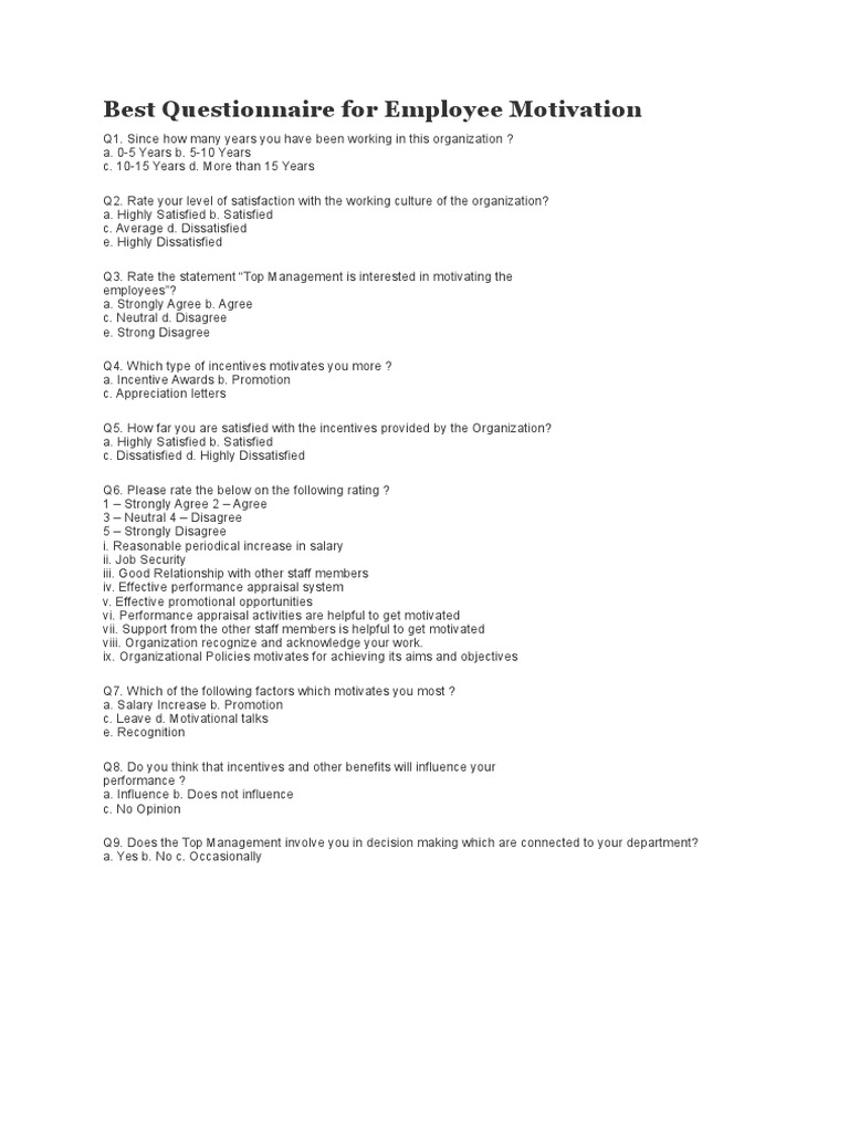 Employee Motivation Questionnaire Insights | PDF