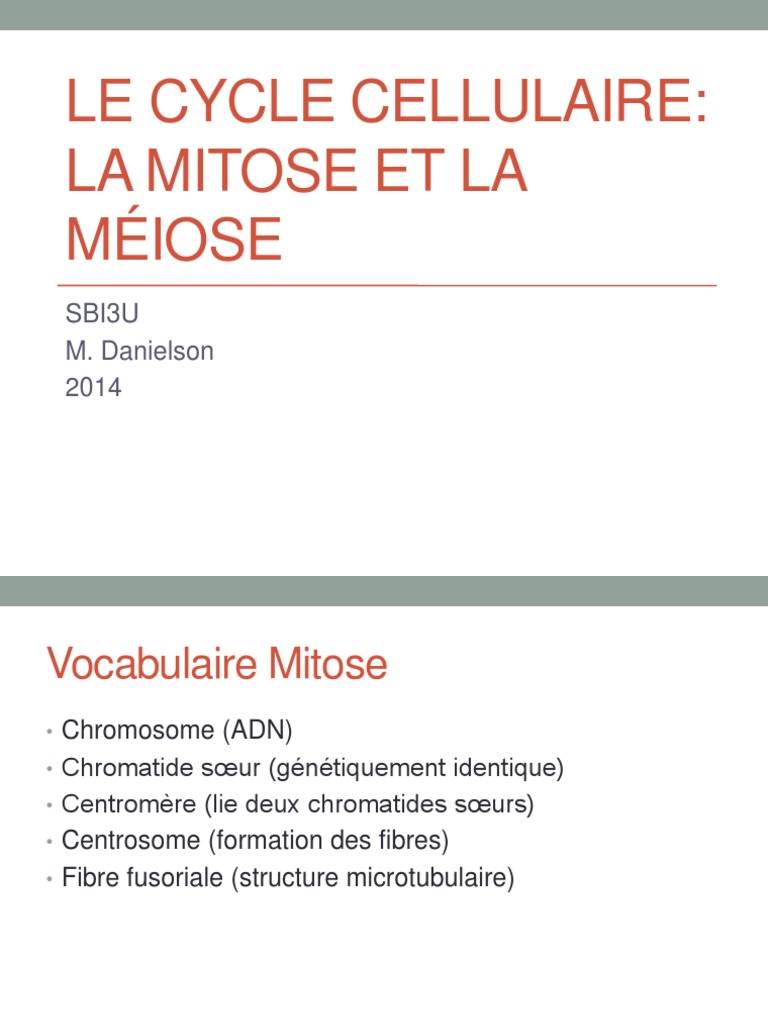 Cycle Cellulaire | PDF | Méiose | Mitose