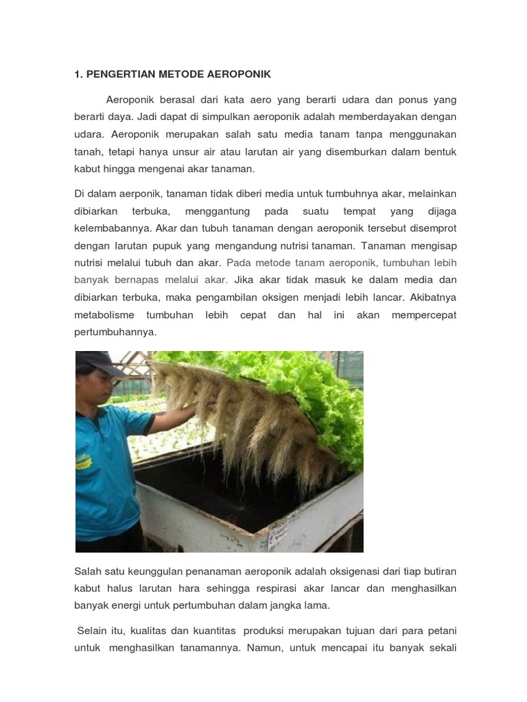 Pengertian Metode Aeroponik | PDF