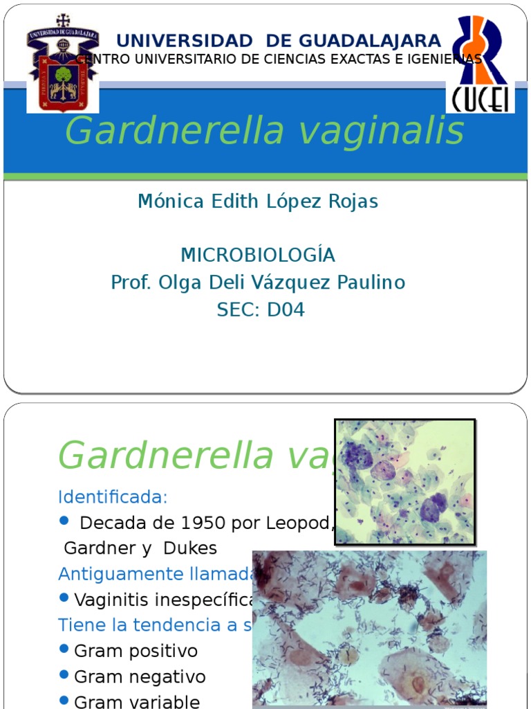 Gardnerella | PDF | Vagina | Las bacterias