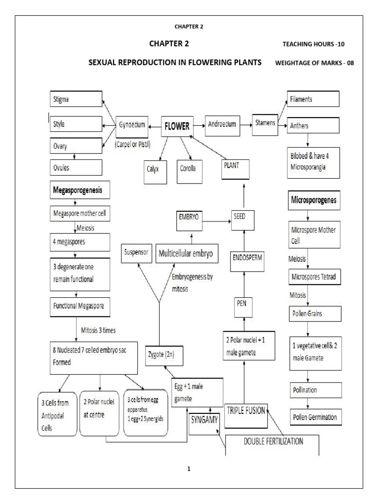 36 - ch2 - Reproduction in Plants | PDF | Seed | Pollination