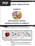 Control de CHATTO en Alimentos | PDF | Alimentos | Las bacterias