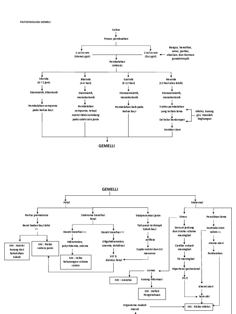 Patofisiologi Gemeli | PDF