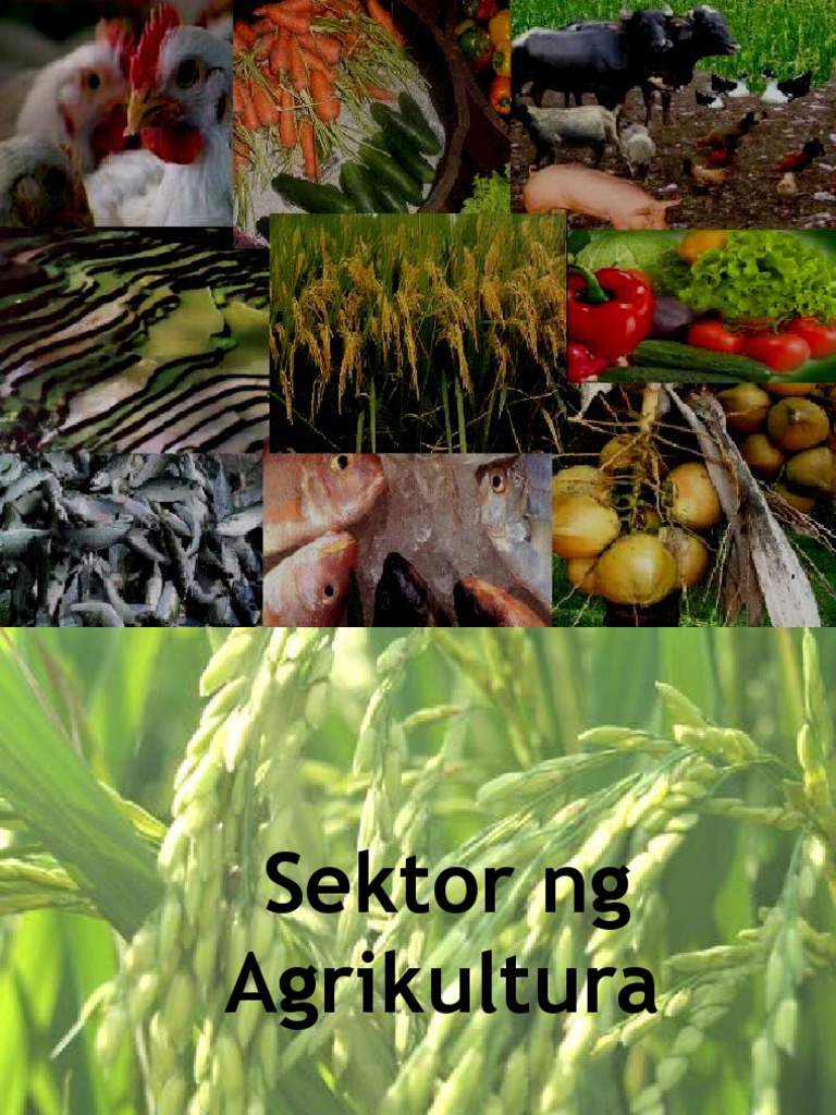 Agrikultura | PDF