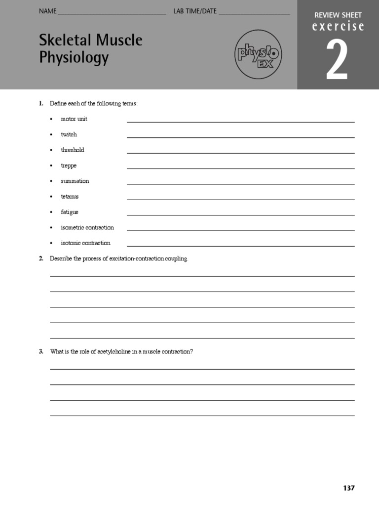 Skeletal Muscle Physiology: Exercise | PDF | Muscle Contraction | Soft ...