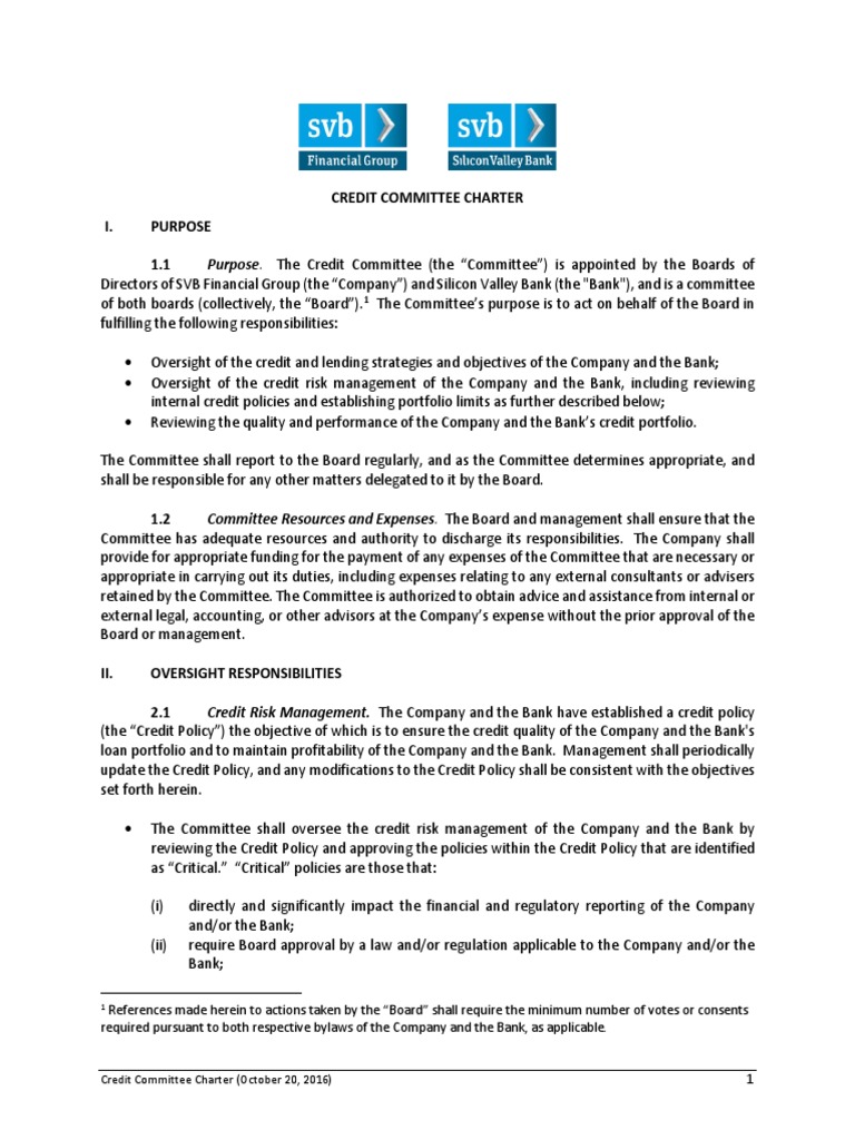 Oversight of Credit Risk and Strategy: The Roles and Responsibilities ...