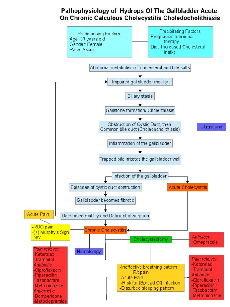 Pathophysiology of Cholecystitis | PDF | Gallbladder | Rtt