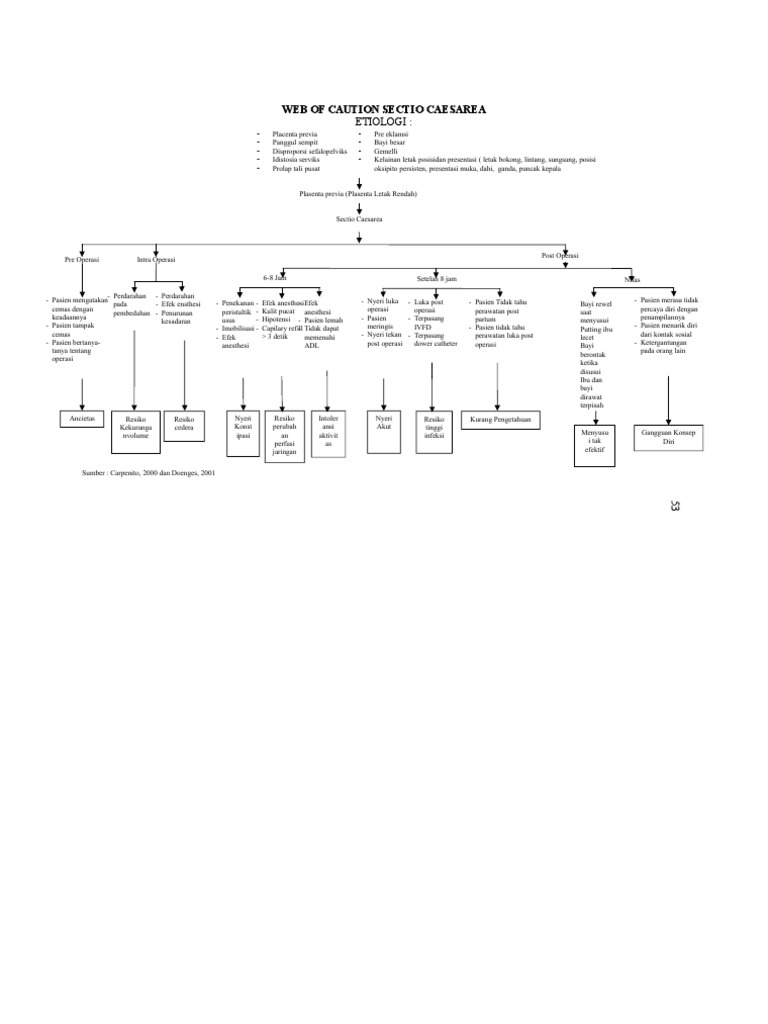 Web of Caution Sectio Caesarea | PDF