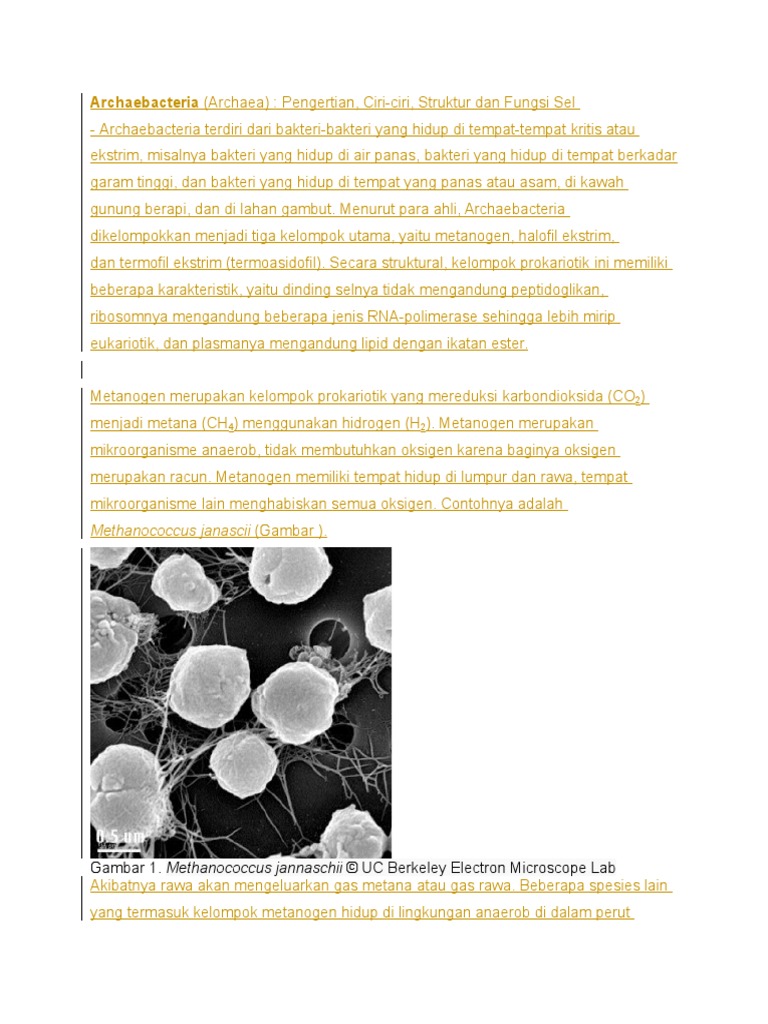 Archaebacteria | PDF
