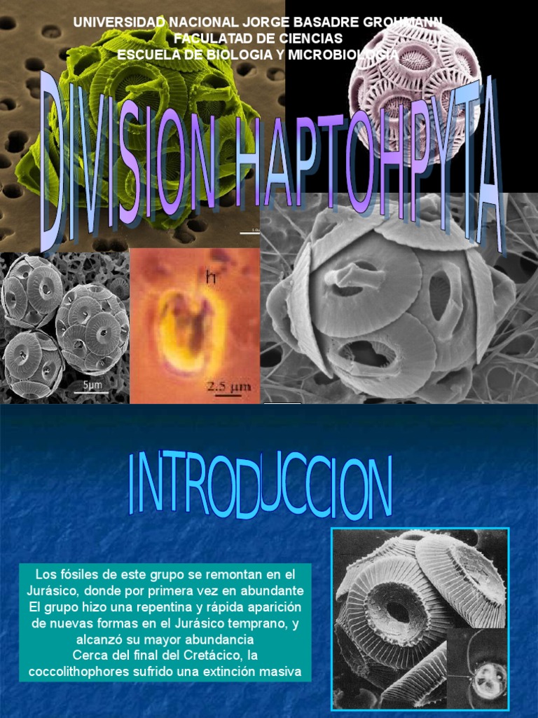 Presentacion de Haptophyta | Ciencias de la tierra y de la vida ...