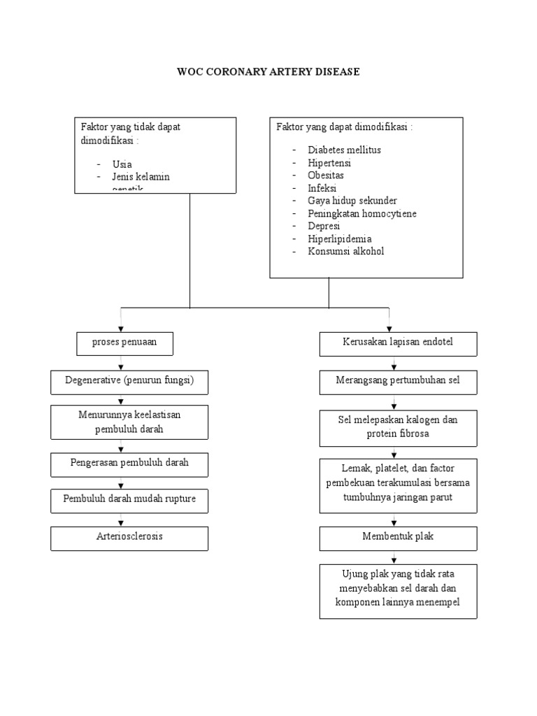 Woc Artery Coronary Disease | PDF