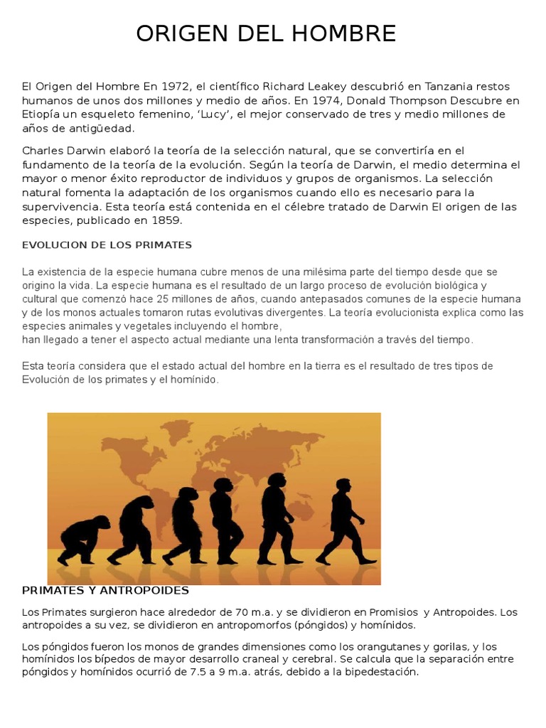 Origen Del Hombre 20