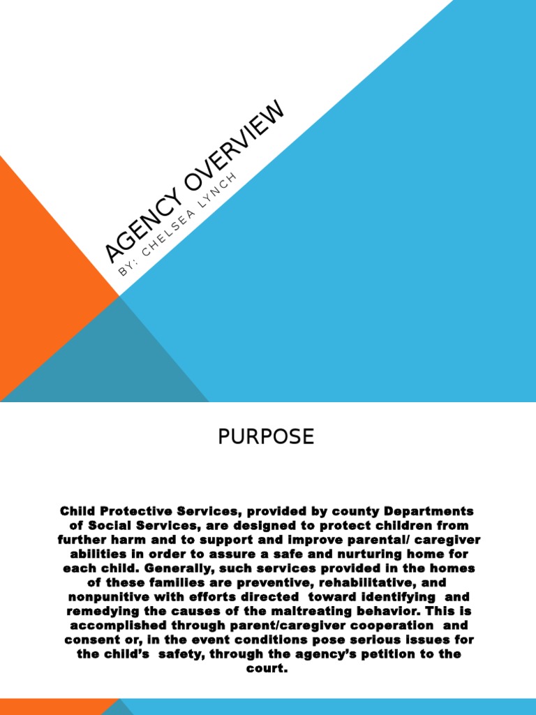 Agency Overview | PDF