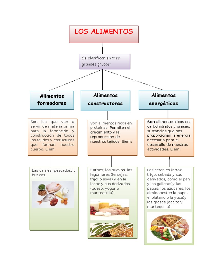 Alimentos Mapa Conceptual